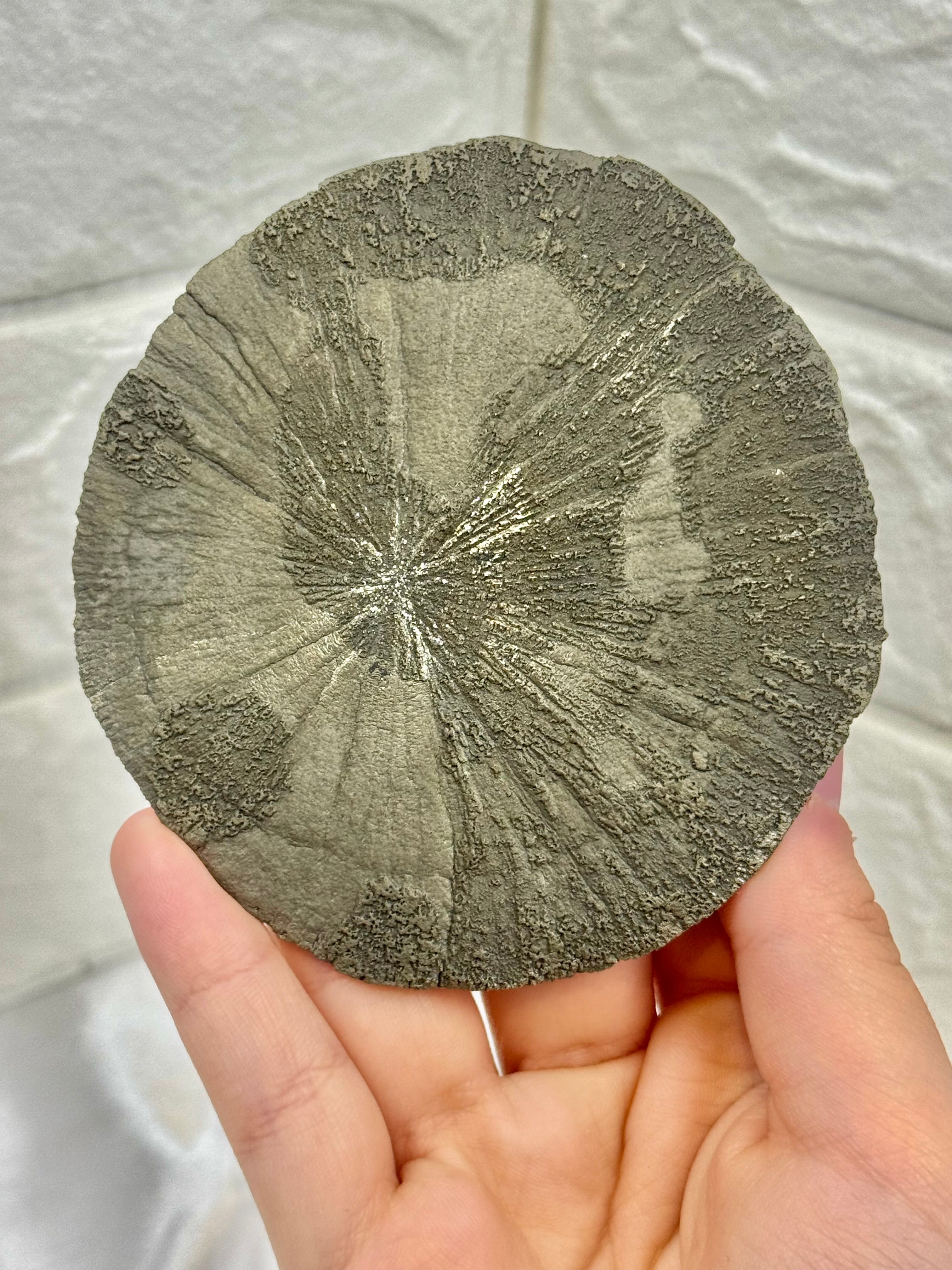Beautiful pyrite sun from Illinois – AuraMoonMinerals